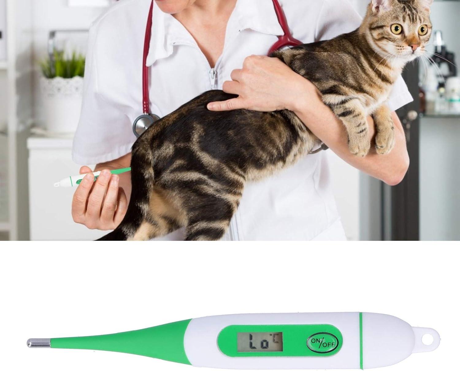 Veterinary Electronic Thermometer - Waterproof Digital Thermometer for ...