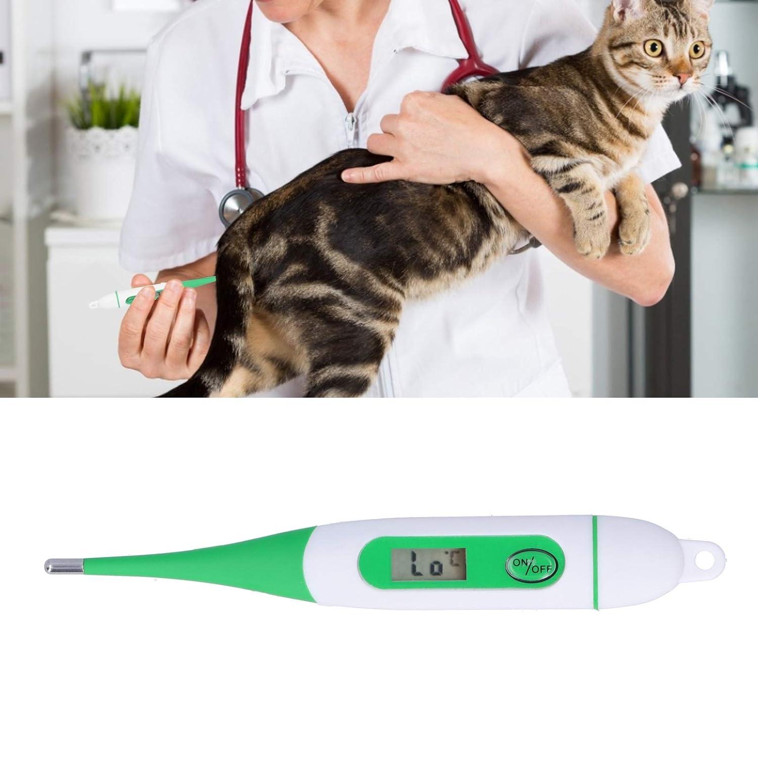 Pet Fever Thermometer Digital Fever Thermometer for Horse Cattle Pet ...