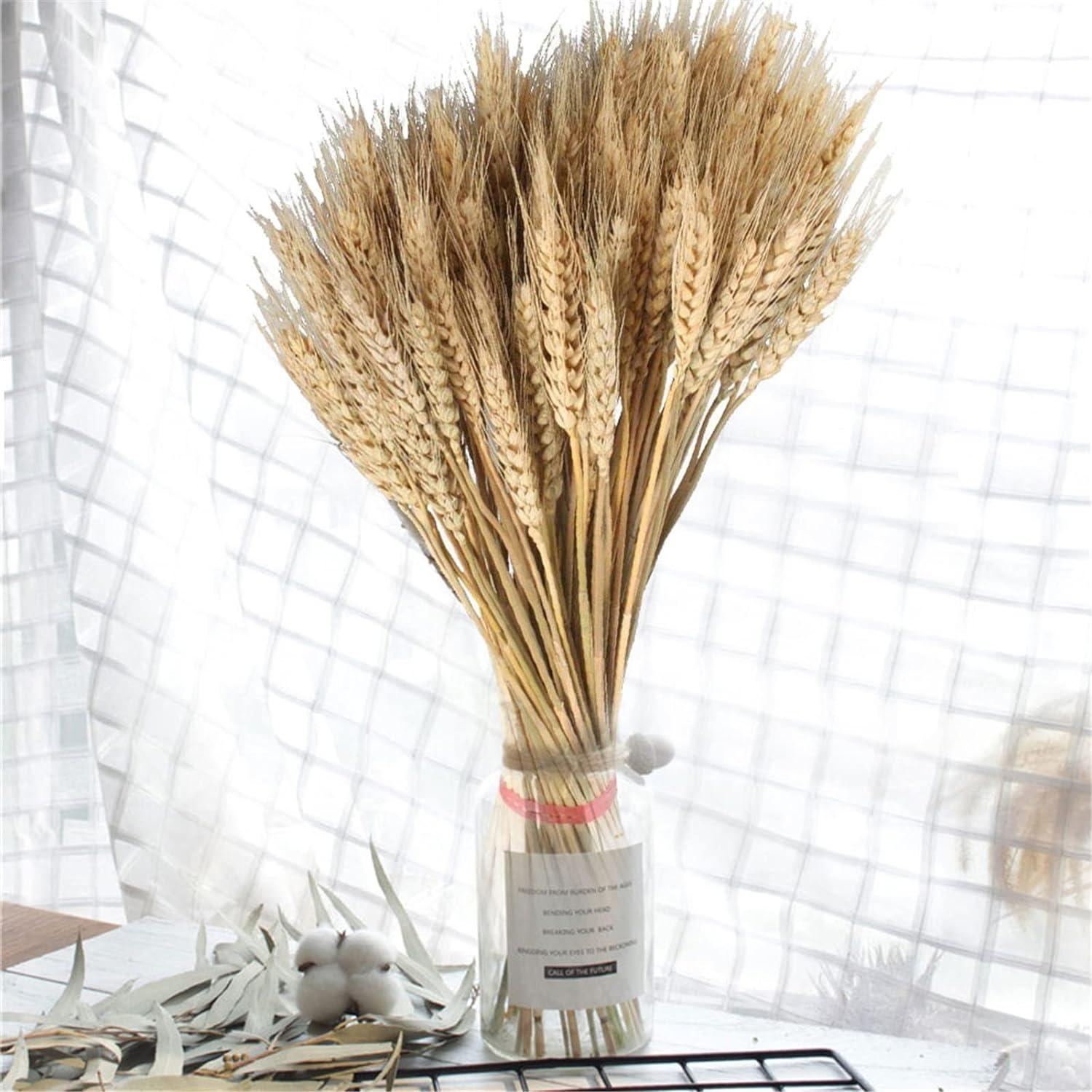 Dried Wheat Sheaves Stalks 100Pcs Natural Wheat Bouquet Artificial ...