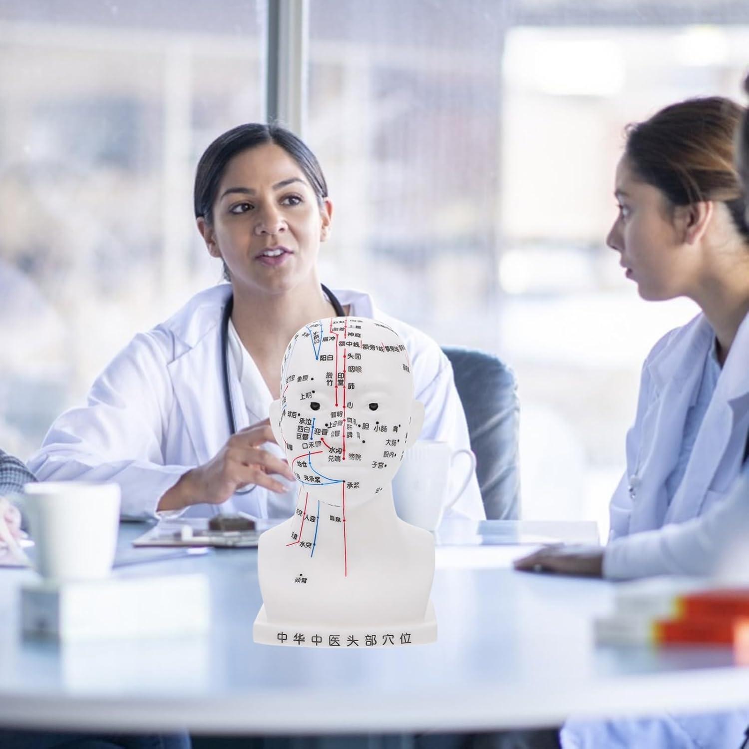 Frcolor Acupuncture Point Model - Realistic Medical Head Massage Aid ...