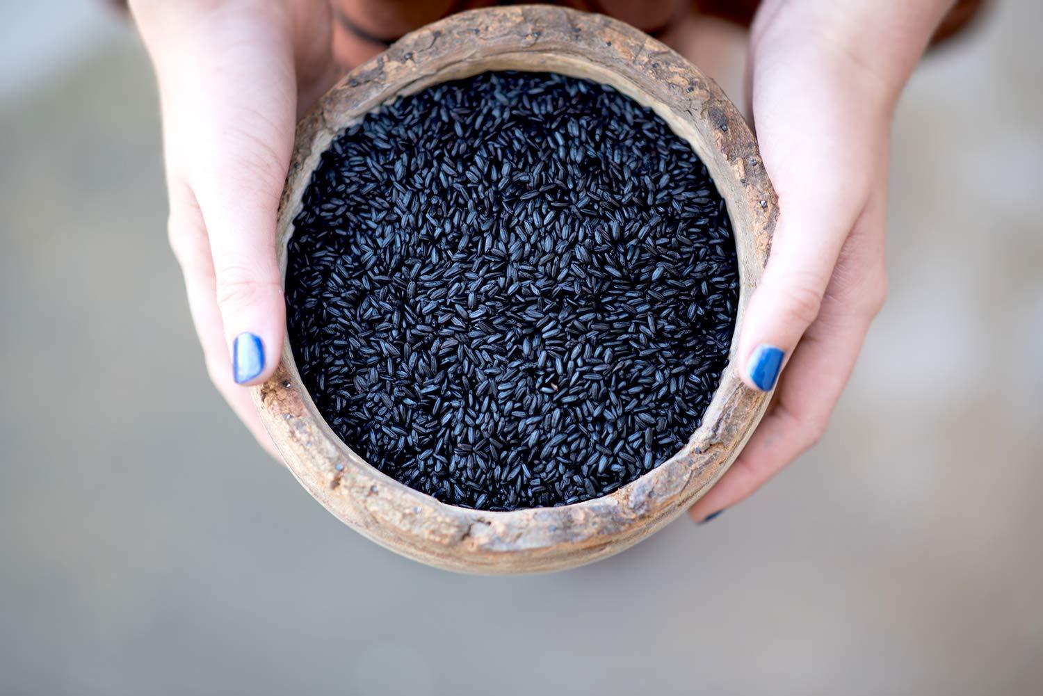 Lotus Foods Gourmet Organic Forbidden Rice, 11 Pound (Pack of 1)