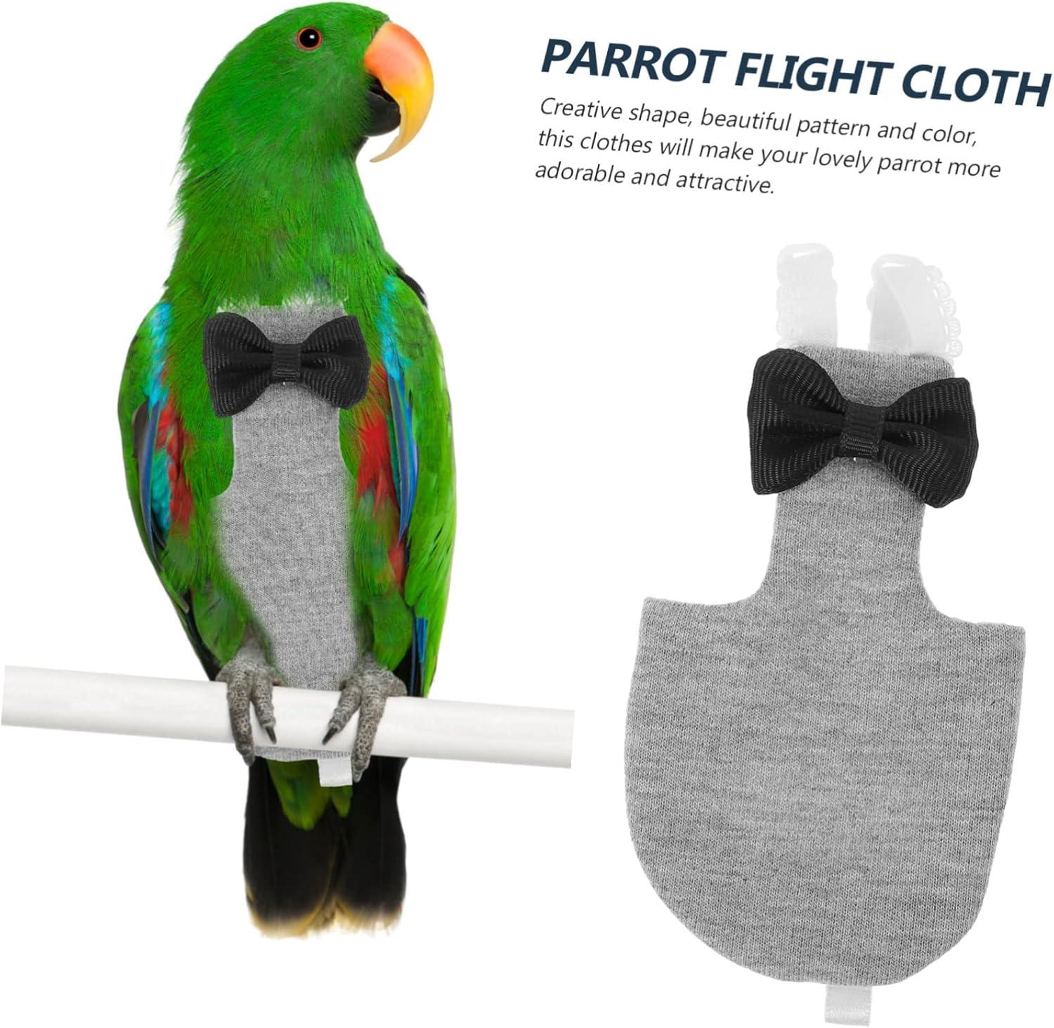 Buy Bcoath Flying Bird Diapers | Parrot Costumes & Leash | Ideal for ...