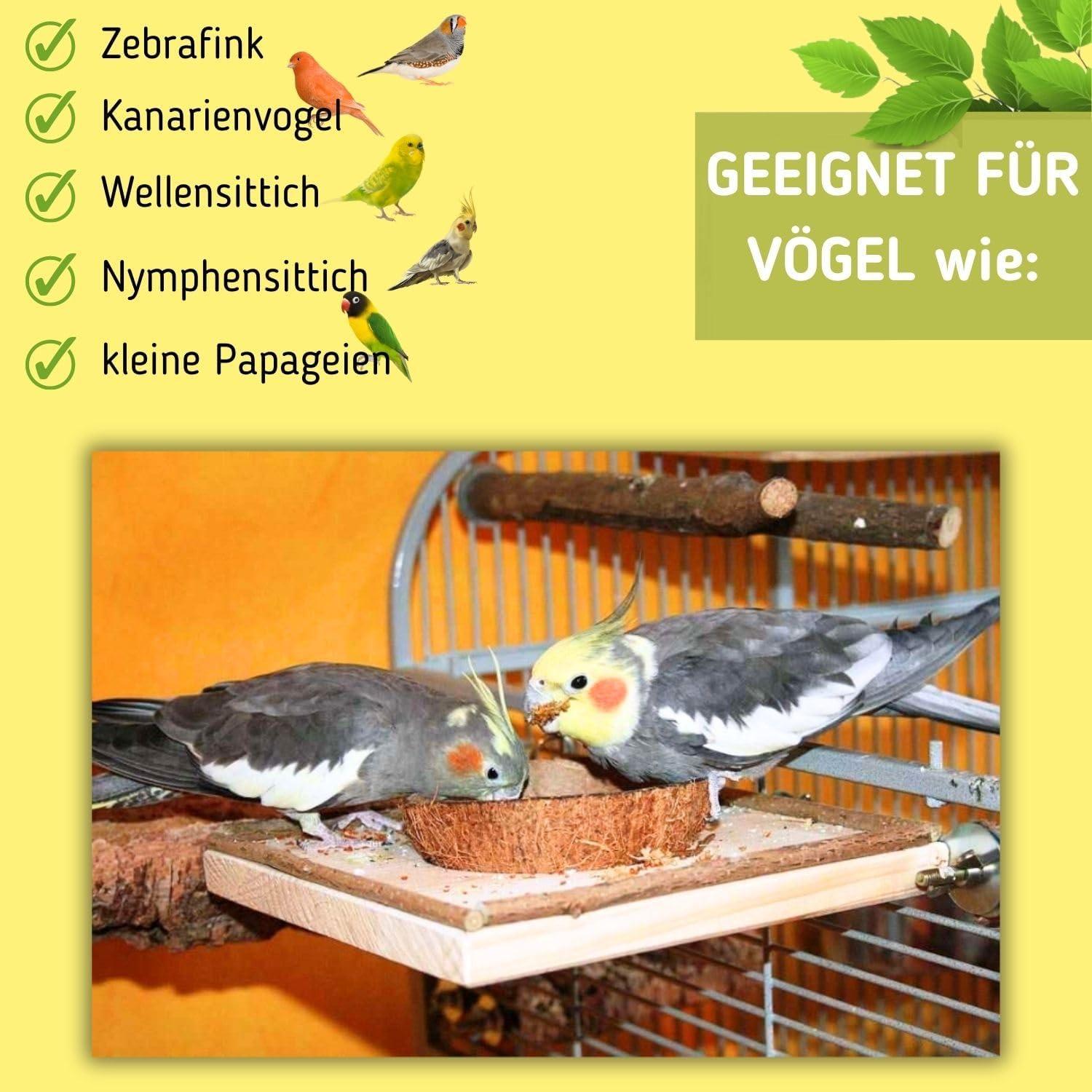 Smart Bird Toy & Feeding Board: Coconut Shell Sitting Board with ...