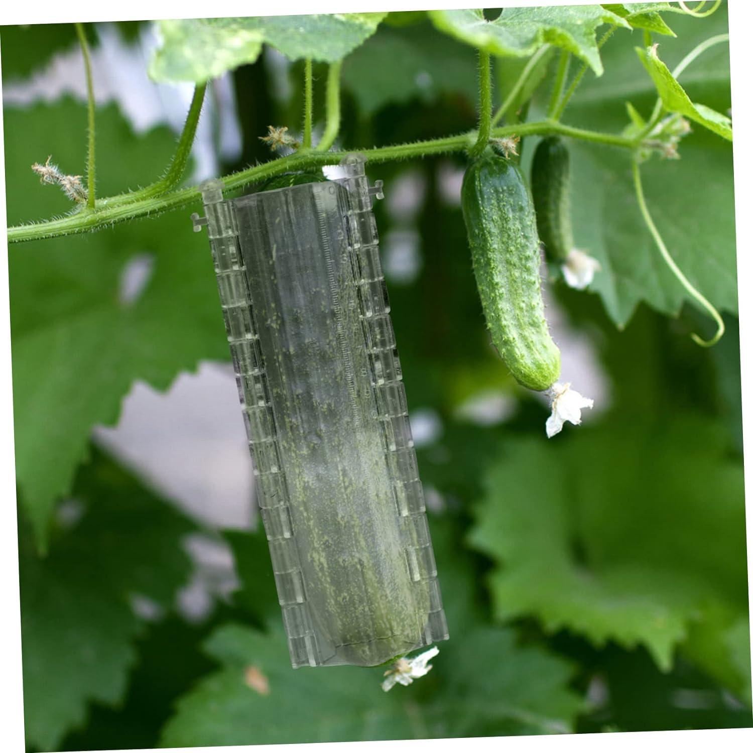 OFFSCH 2pcs Melon and Fruit Shaping Mold Cucumber Growing Cucumber ...