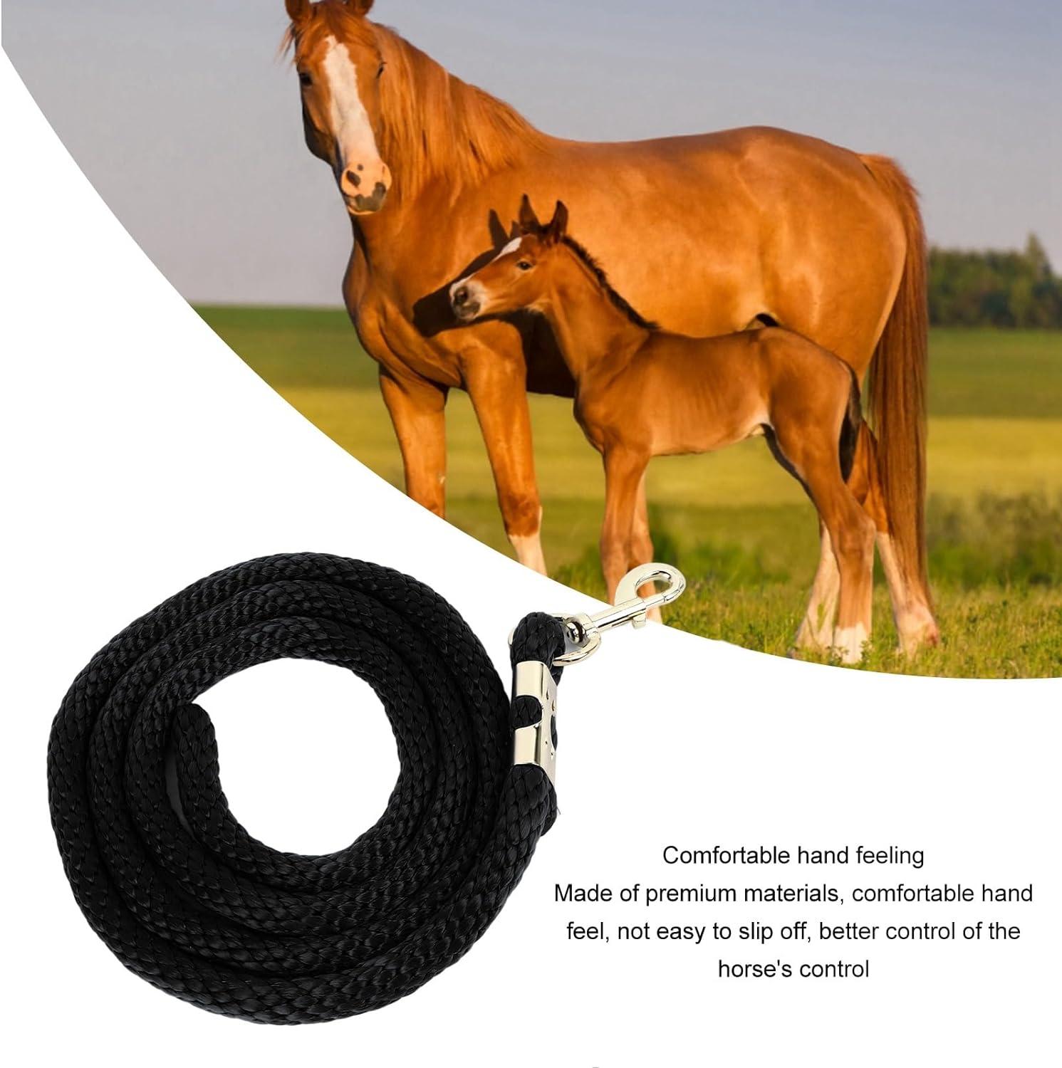 Horse Halter Pulling Rope Harness Bold Two Meter Rope with Large Horse ...