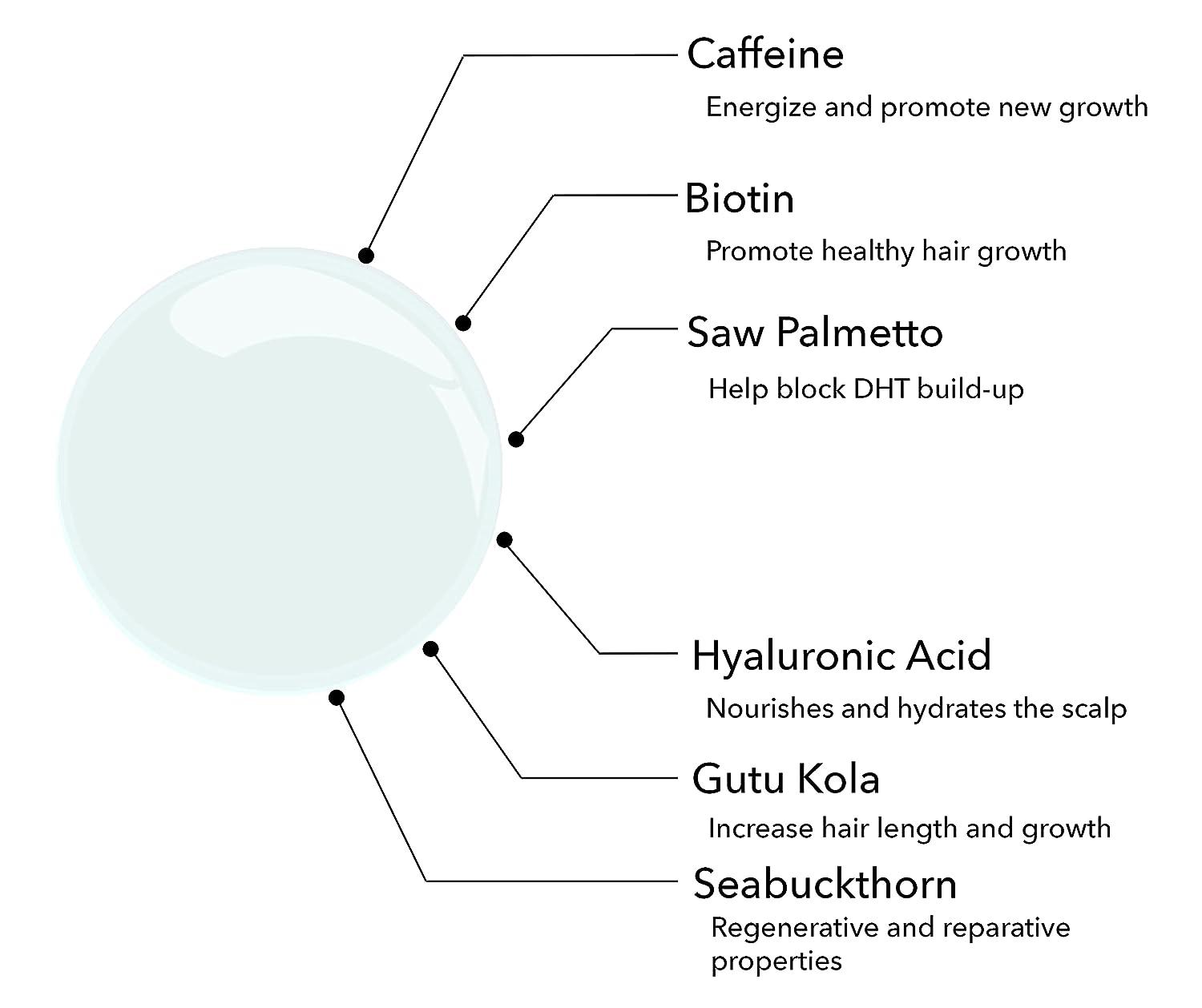 Biotopic Regrowth Serum for Receding Hairline & Bald Spots - 1oz | Buy ...