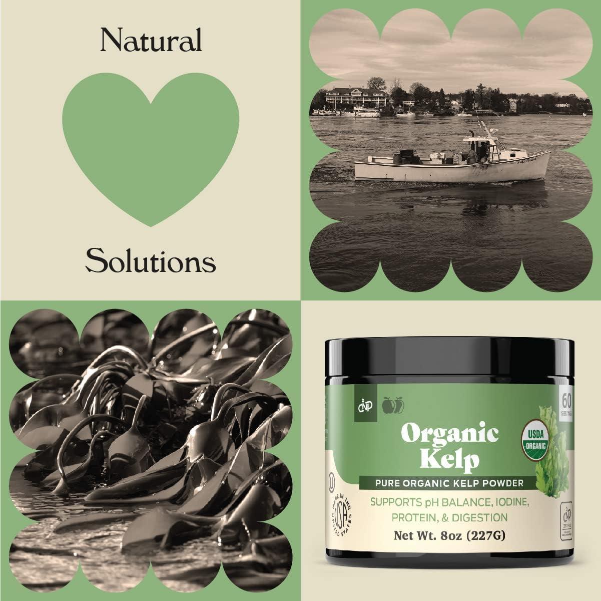 Organic Kelp Powder Supplement - 8oz Sea Kelp Seaweed for Thyroid ...