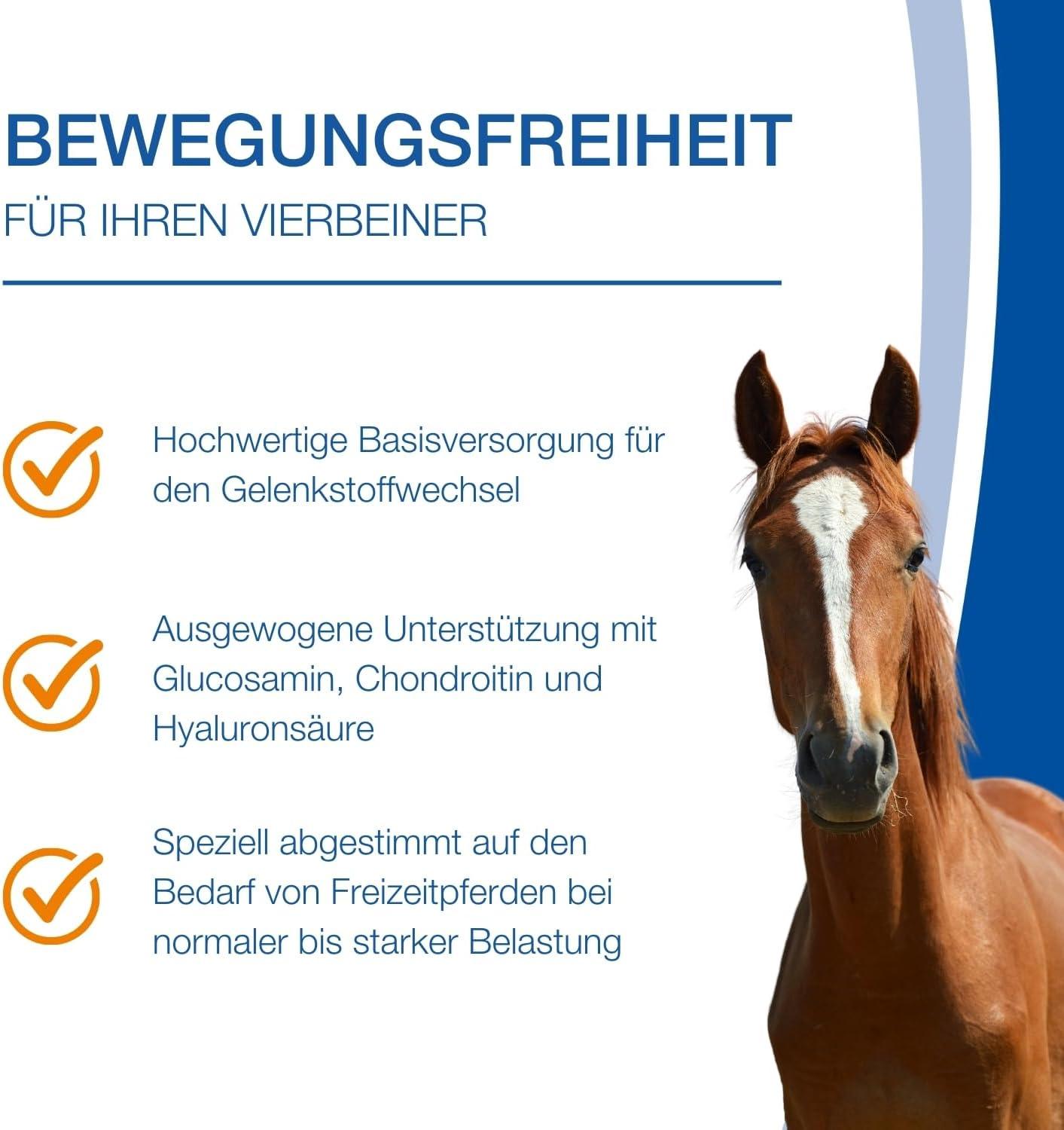 Nutrilabs Mobifor Basic Joint Juice for Horses 1L - Chondroitin ...