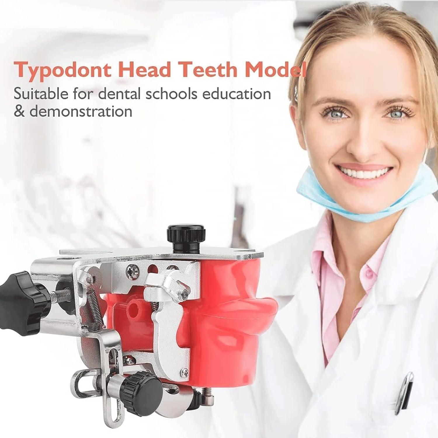 Dental Model Simulator - Bfeiwgha Phantomkopf Training Head ...
