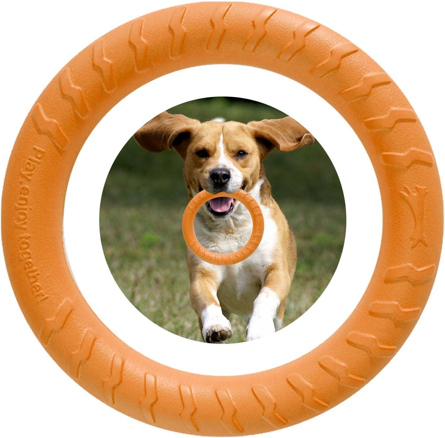 Qeeroyo Dog Fitness Ring | Frisbee Toy for Small Medium & Large Dogs ...