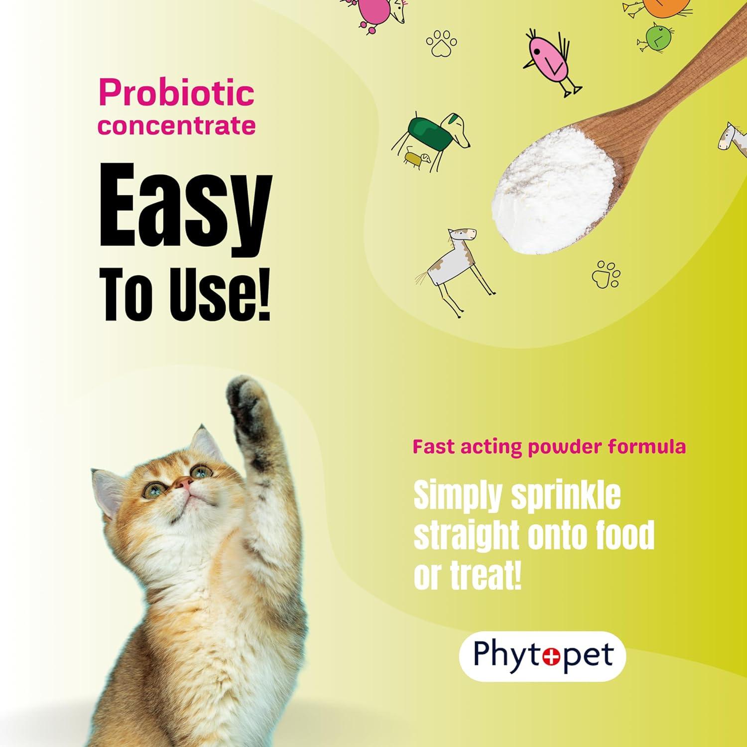 Phytopet Probiotic Concentrate 100g | Veterinary Supplement for Pets ...