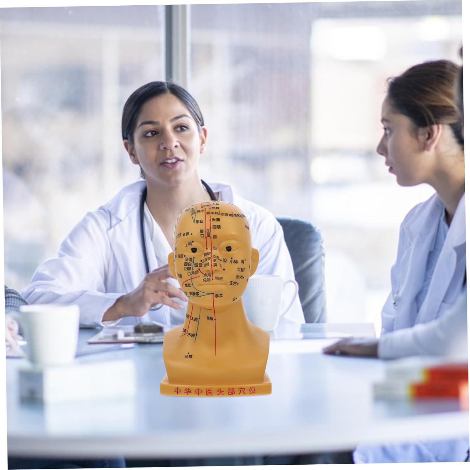 Buy Healvian Acupuncture Point Model Medical Head Model for Scalp ...