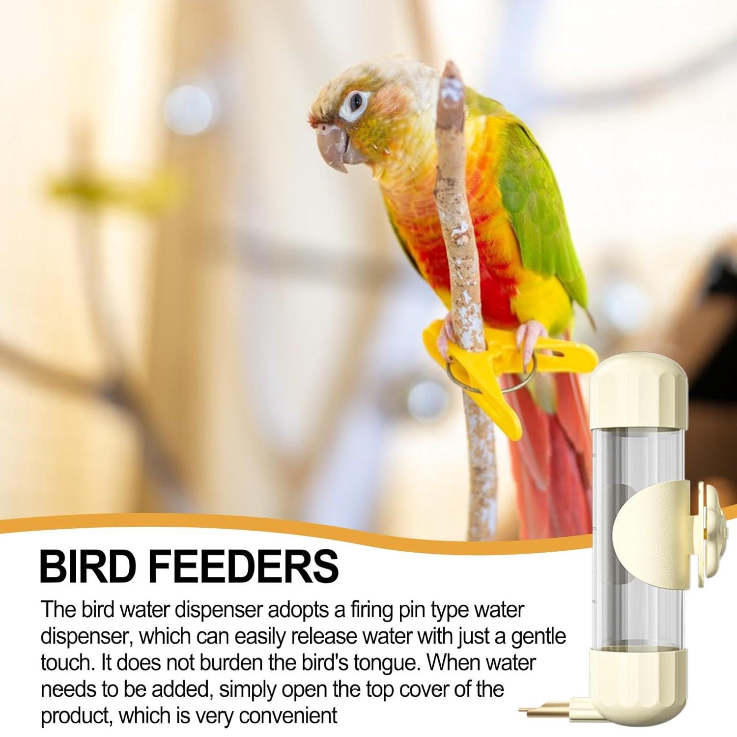 Quotent Automatic Bird Water Bottle - 200ml Dispenser for Parrots ...