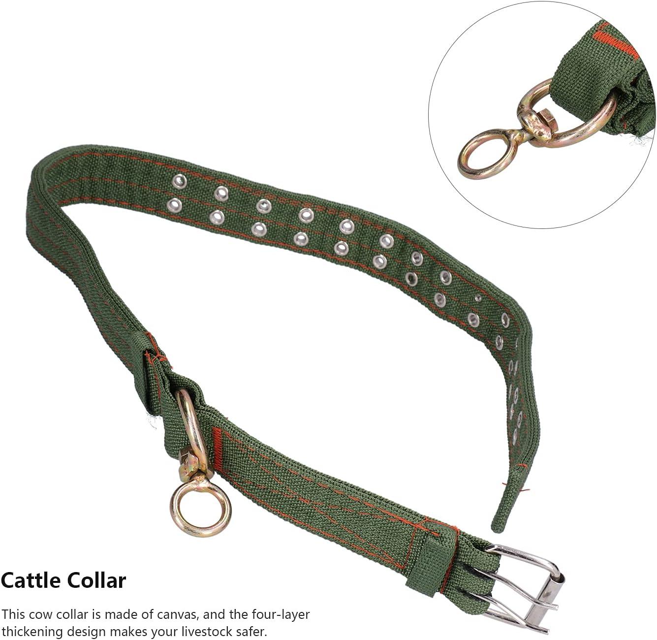 Buy Entatial Beef Neck Band - Durable Two-Row Design Lightweight Four ...