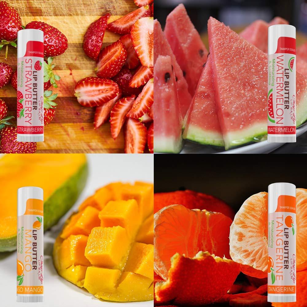 CHAP-LIP Lip Balm 48 Ct | Fruit Flavors, Cocoa Butter & Coconut Oil ...