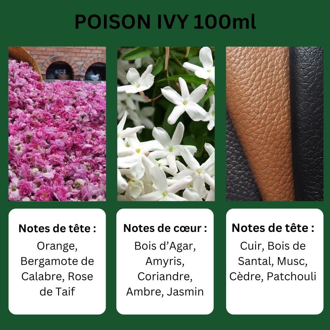 Wahah Series 100ml - Discover the Scent of the Oriental With Our Oasis ...