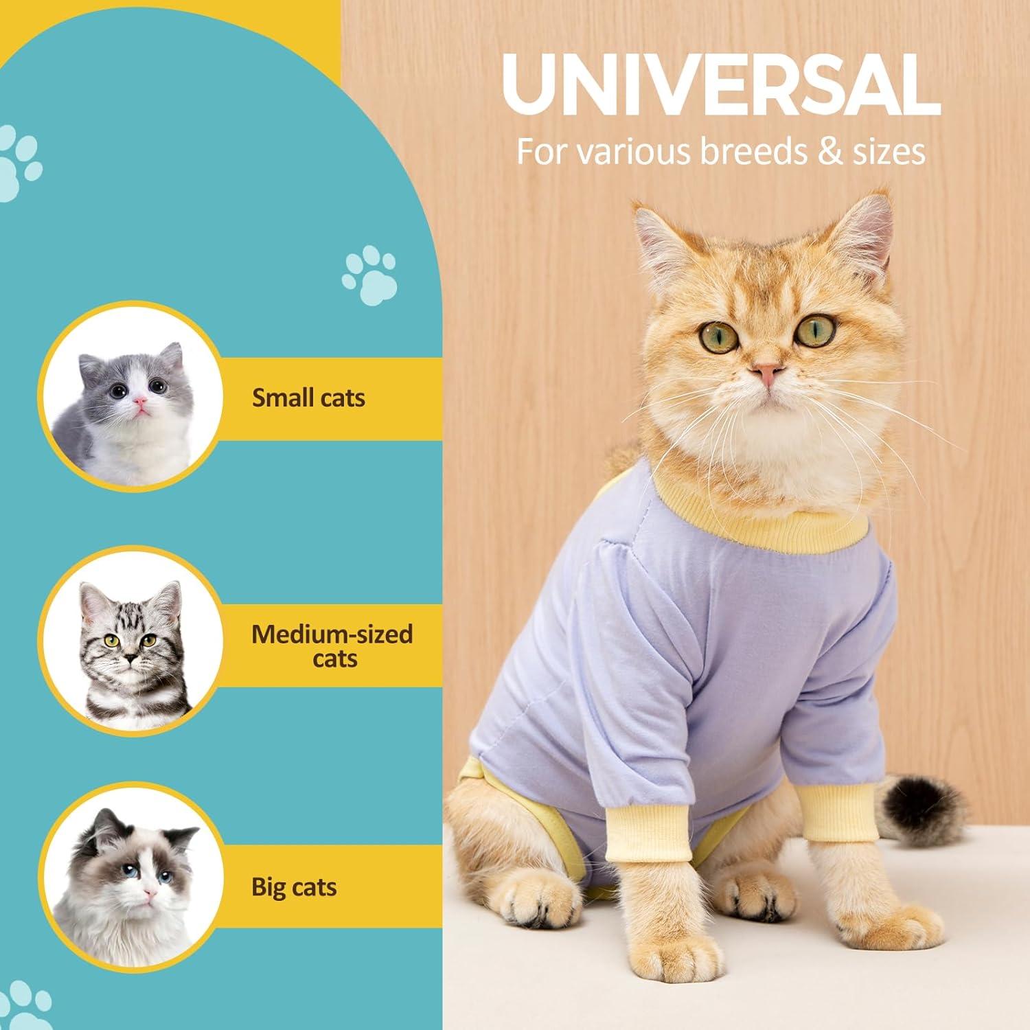 Avont Katzenbody Recovery Suit for Cats - Spay Castration & Wound ...
