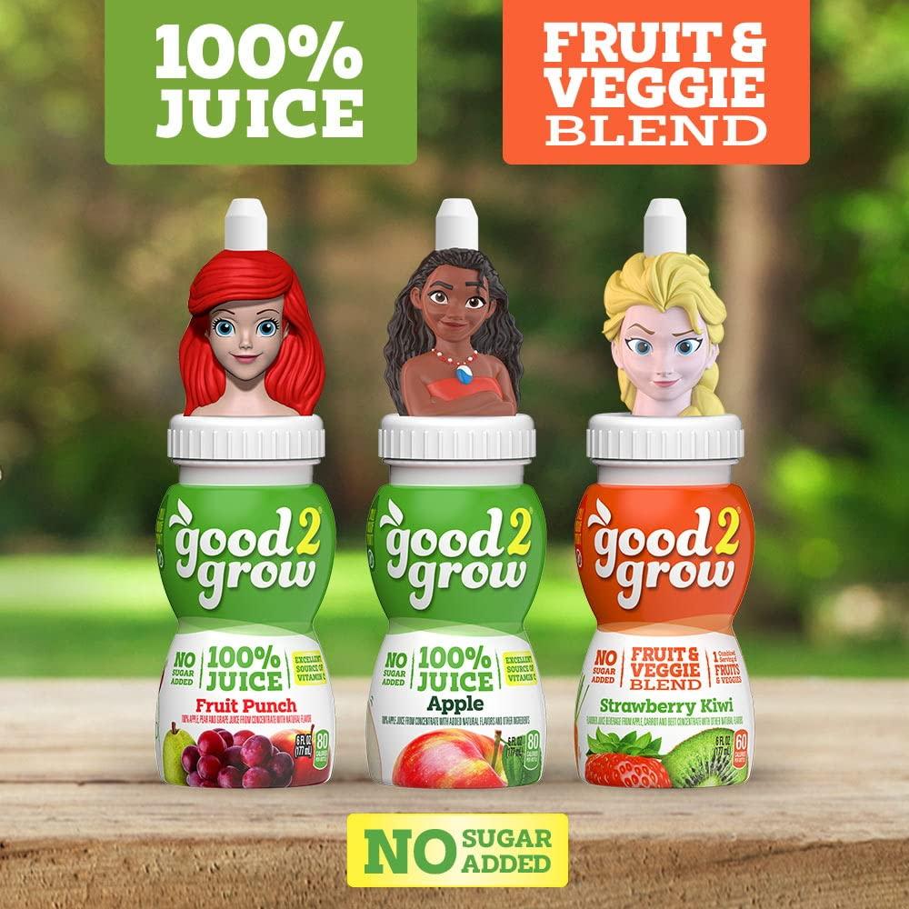 good2grow Disney Princess 3 Flavor Fruit Juice Variety Pack (Apple Fruit Punch Strawberry Kiwi ...