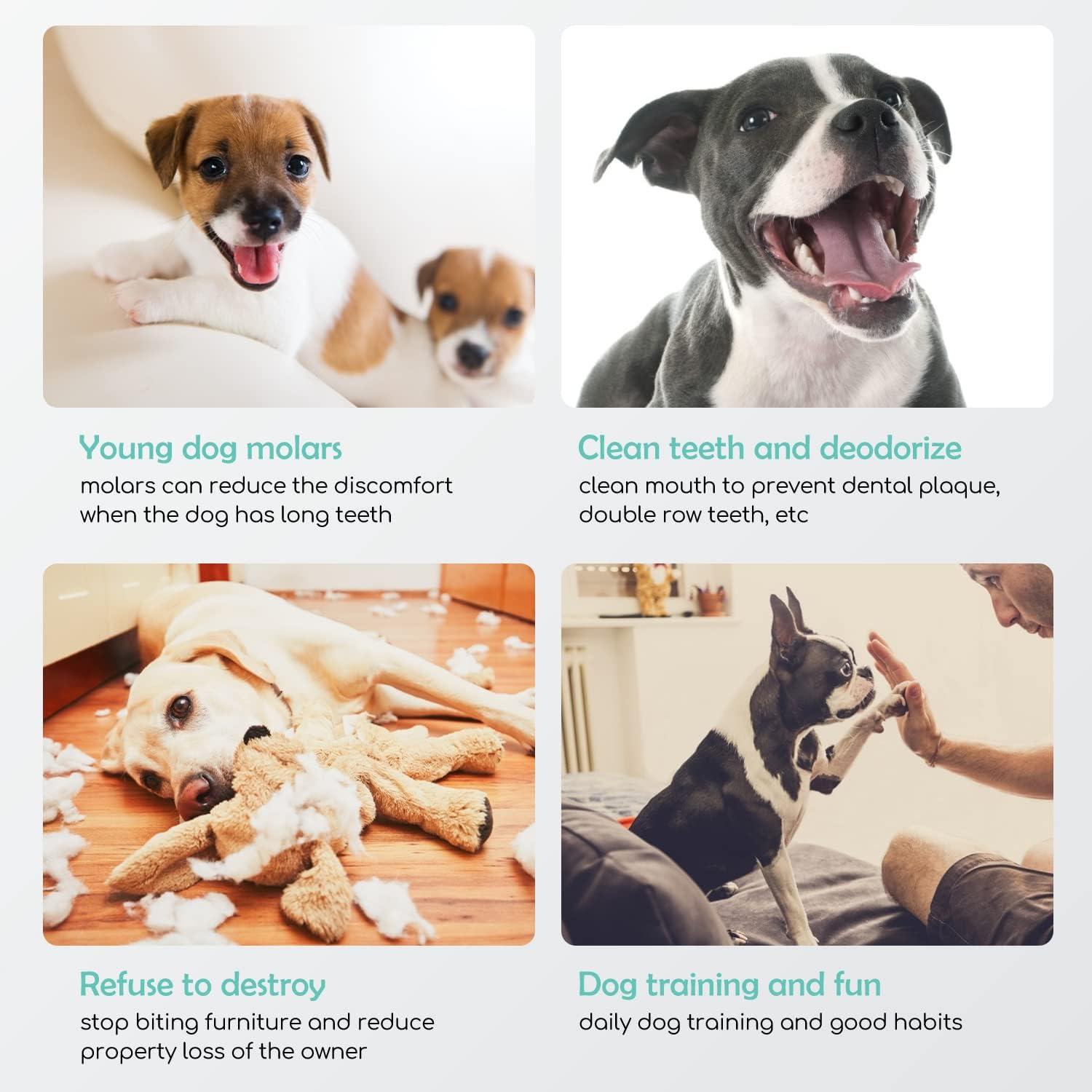 Nobleza 100% Natural Beef Bones for Small Dogs | 10cm Chewing Dog Bones ...