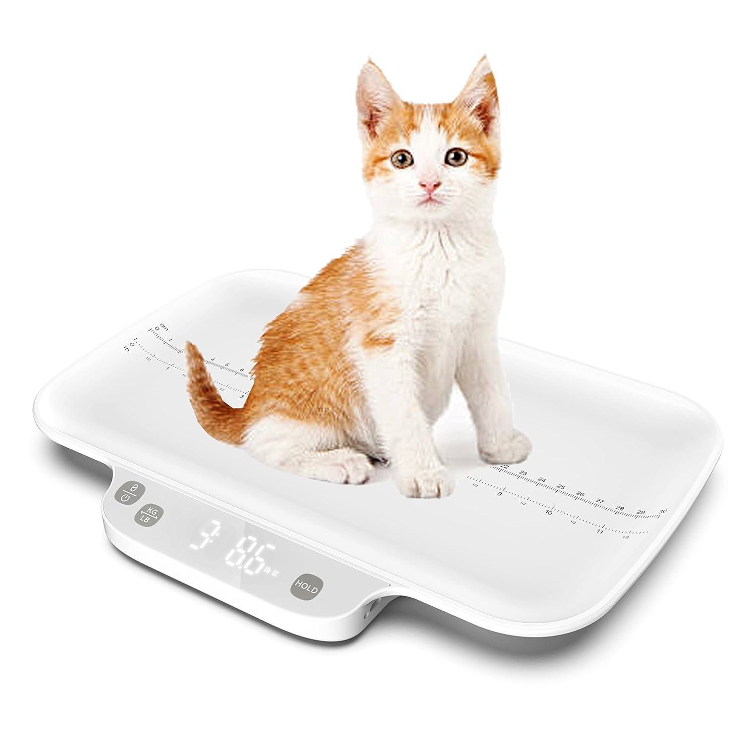 Digital Pets Baby Scales for Kitten and Puppy 15 kg ( 1 g) Digital ...