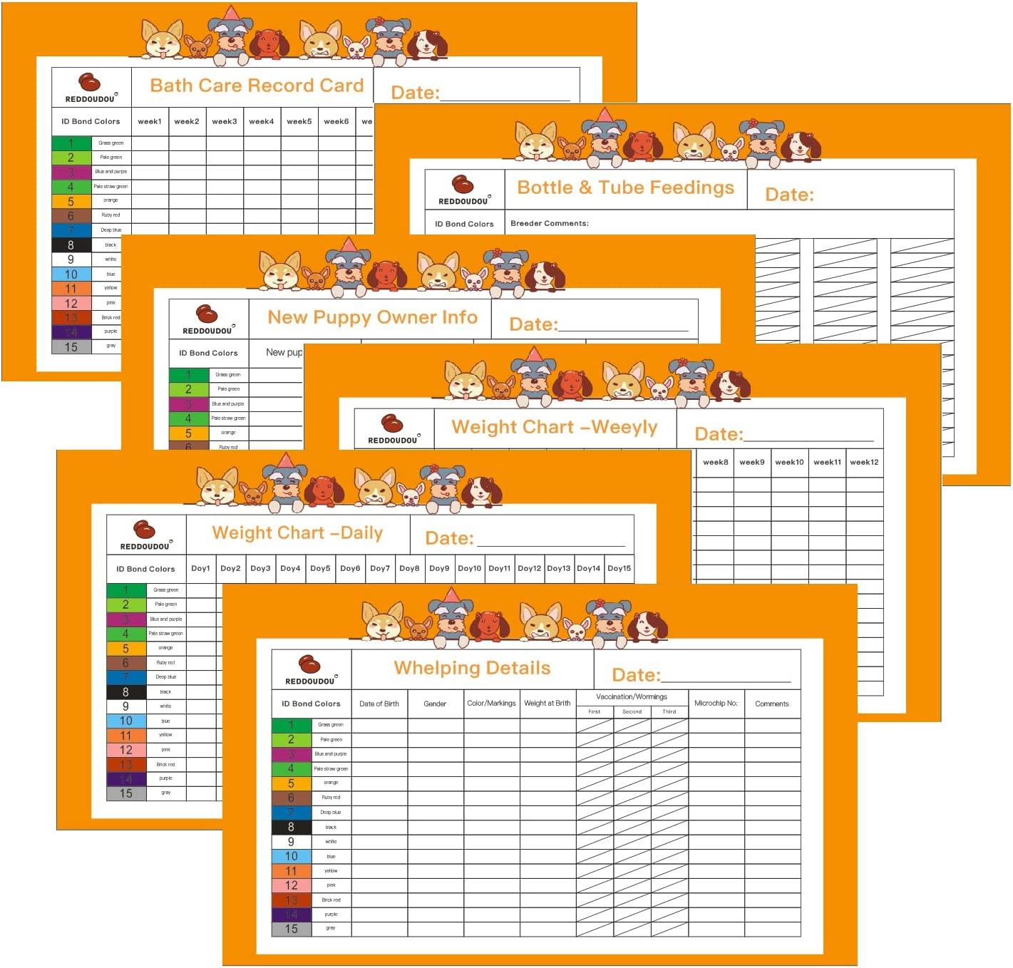 Puppy Kitten Whelping Kit with Record Keeping Charts, Collars ...