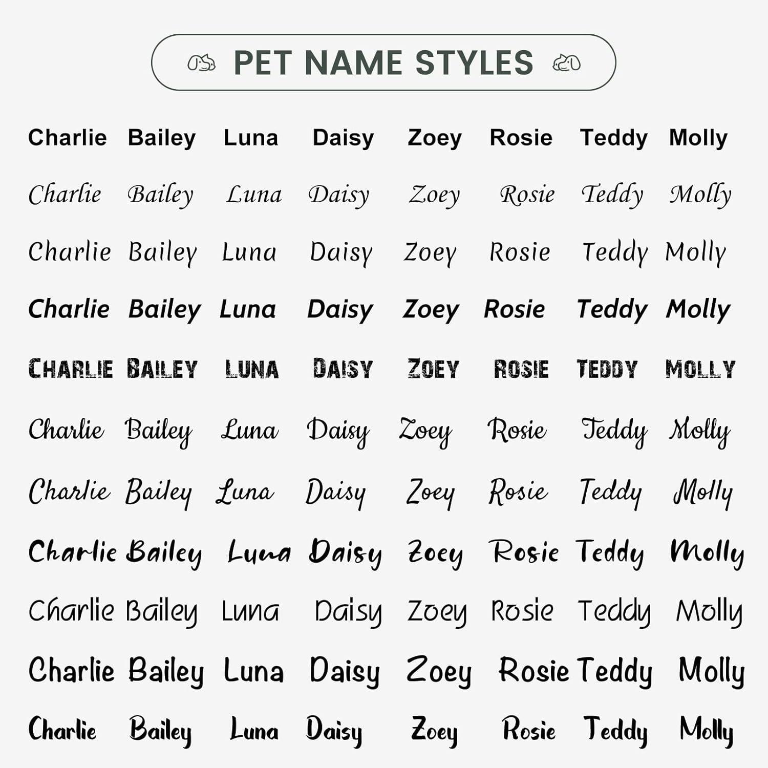 Personalized Yhananti Cat Brand - Custom Engraved Stainless Steel Name ...
