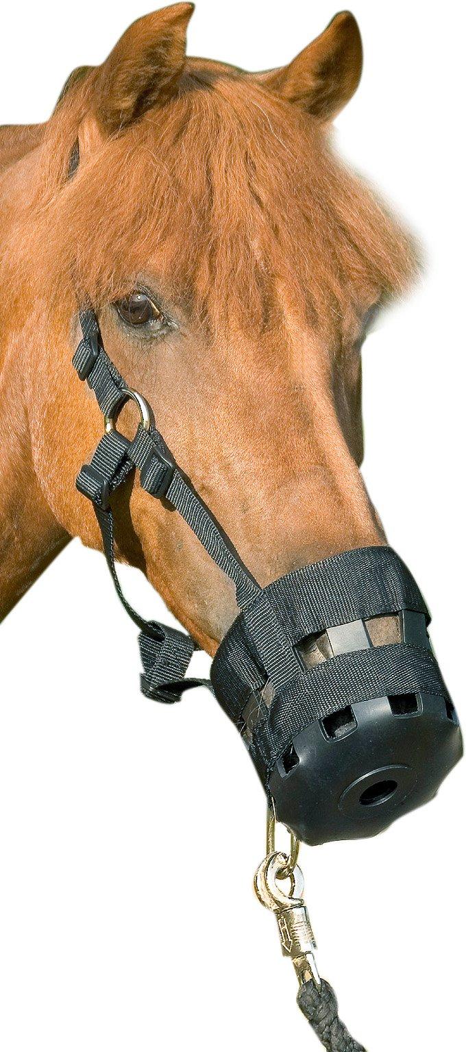 Breaking Brake Pony - High-Quality Equestrian Equipment | Shop ...