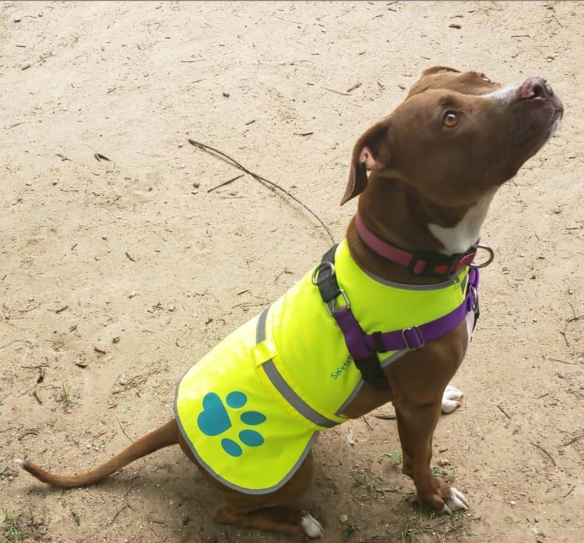SafetyPUP XD Dog Safety Vest | Neon Yellow | Fits Dogs 14lbs to 130lbs ...