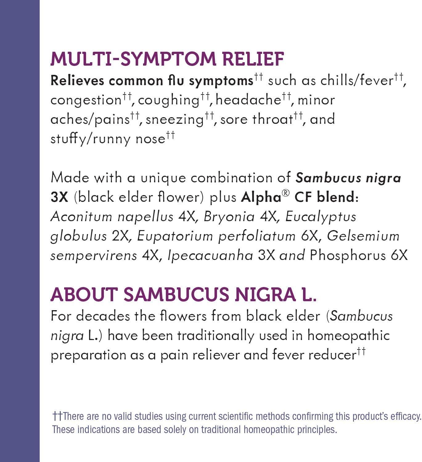 Nature's Way Sambucus Flucare Syrup - Natural Immune Support, 4 Fl Oz ...