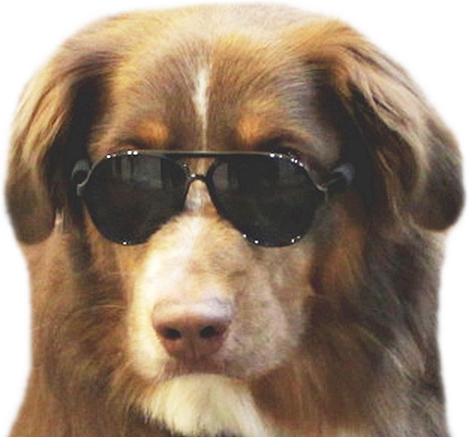 Aviator Sunglasses for Medium Dog Breeds 20-40 lbs - Black | Style ...