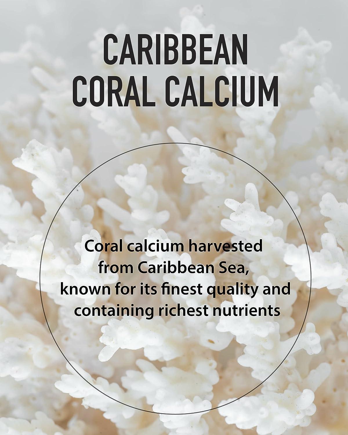 Calma-D Chewables: 300mg Calcium, 150mg Magnesium, 10ug Vitamin D - 60 ...