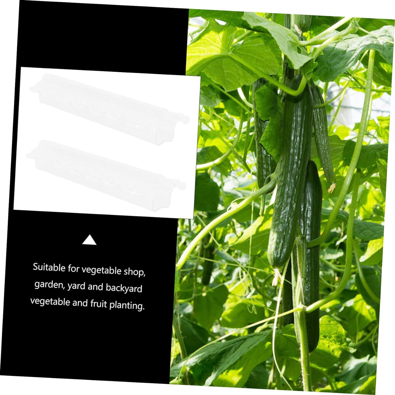 OFFSCH 2pcs Melon and Fruit Shaping Mold Cucumber Growing Cucumber ...