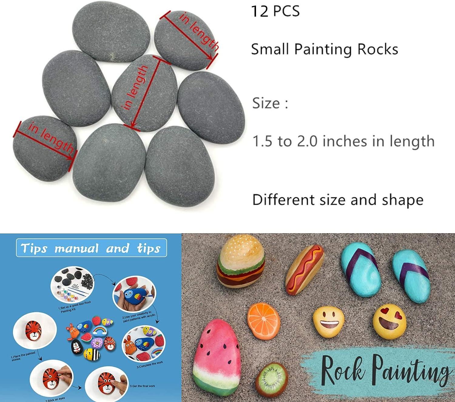 Lifetop 12PCS Painting Rocks - Flat & Smooth Kindness Rocks for Arts ...