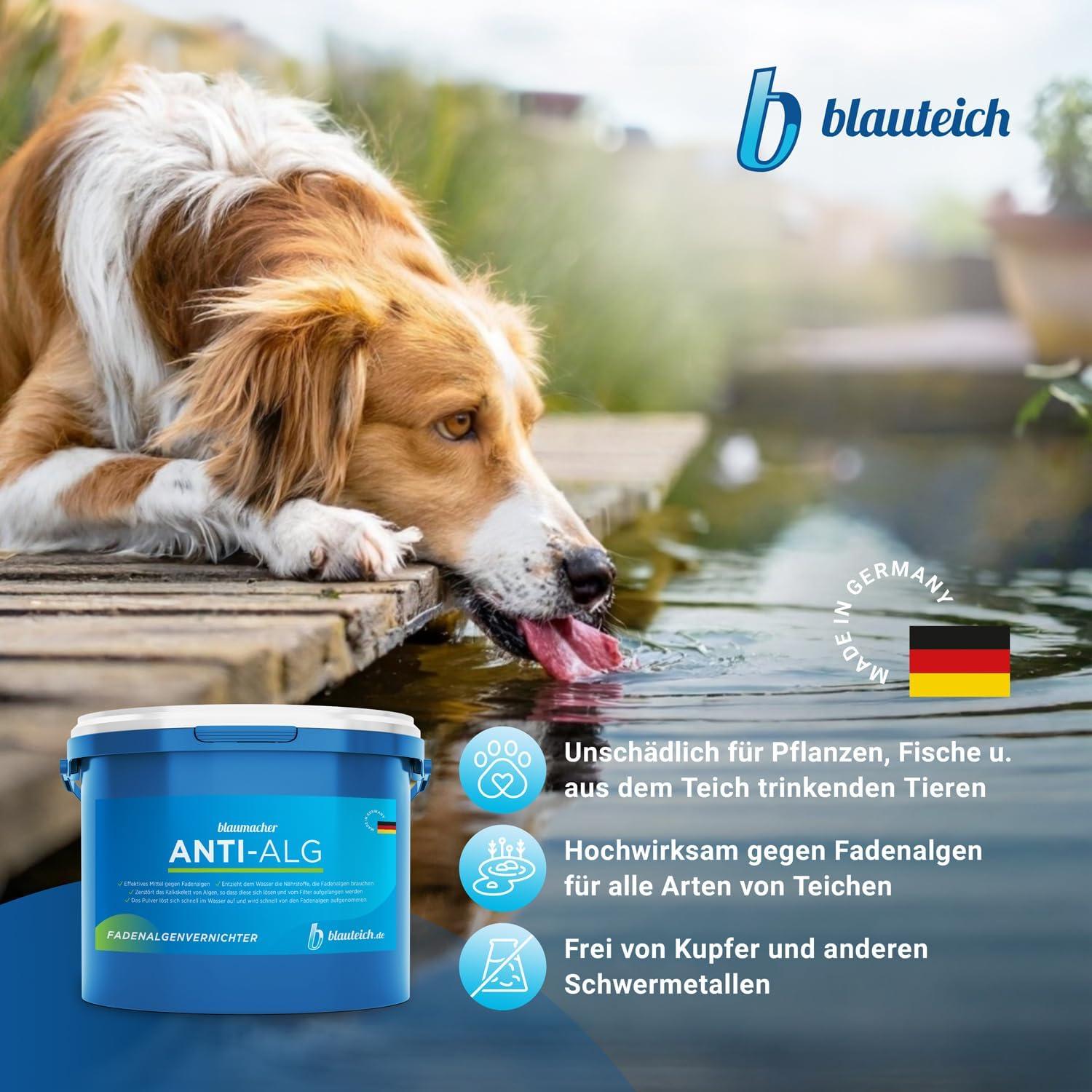 Blauteich Blaumacher Anti-Algae Thread Algae Destroyer - Effective Pond ...