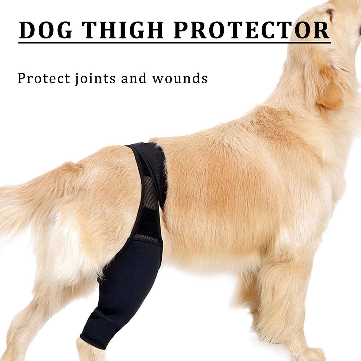 Dog Leg Brace Elbow Brace Protector Pads for Small Dogs and Cats ...