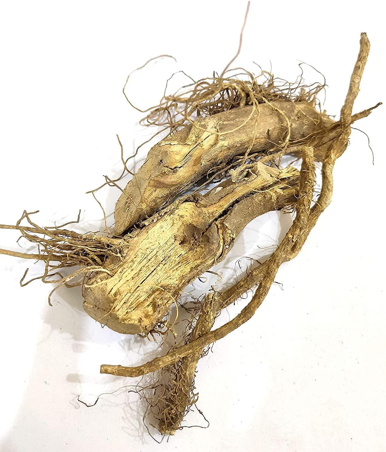 CROW Kateri Jad Root - Solanum Xanthocarpum Bhatkatiya Root Kantakari ...