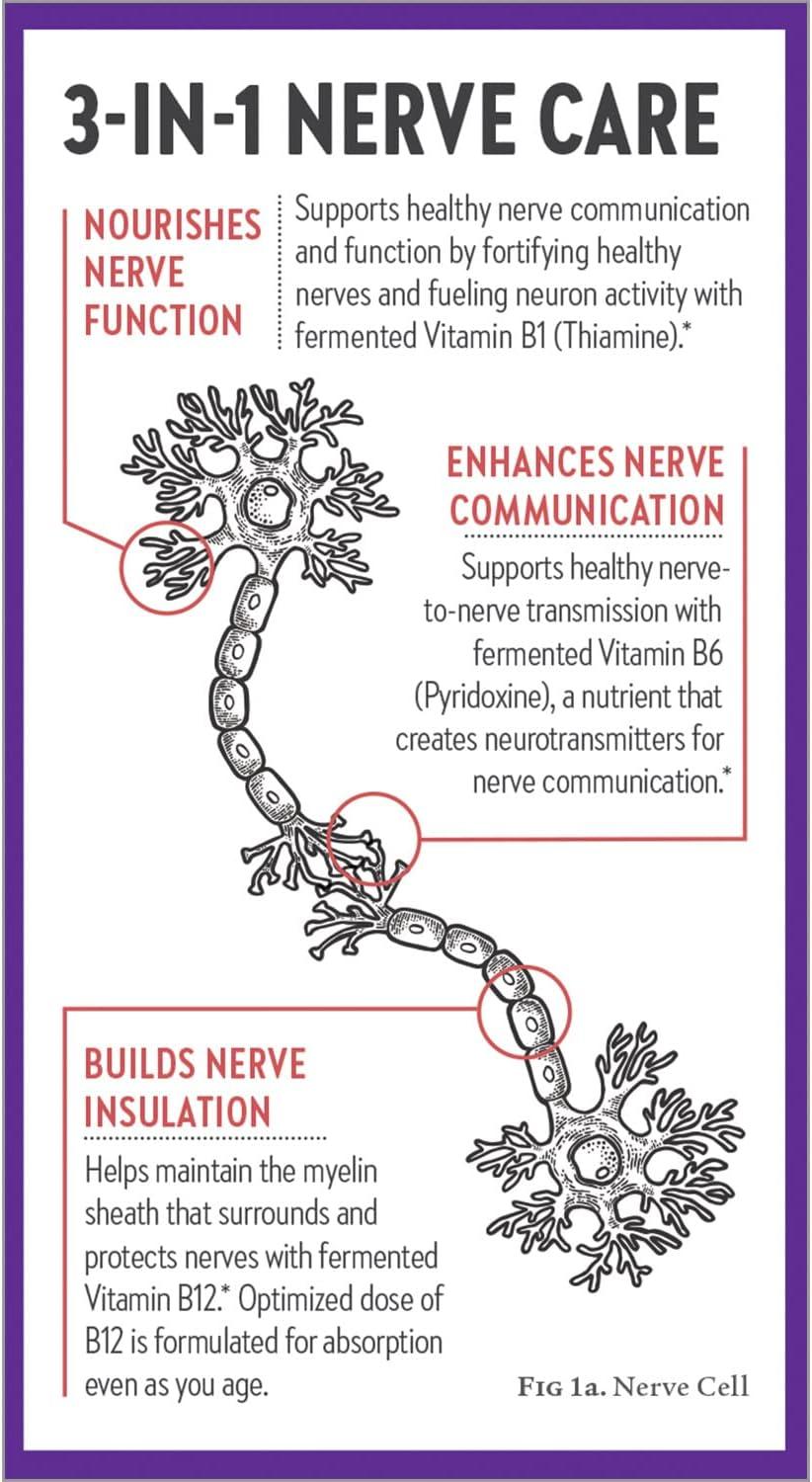 New Chapter Nerve Health Supplement - 3-in-1 Support with Vitamin B1 ...