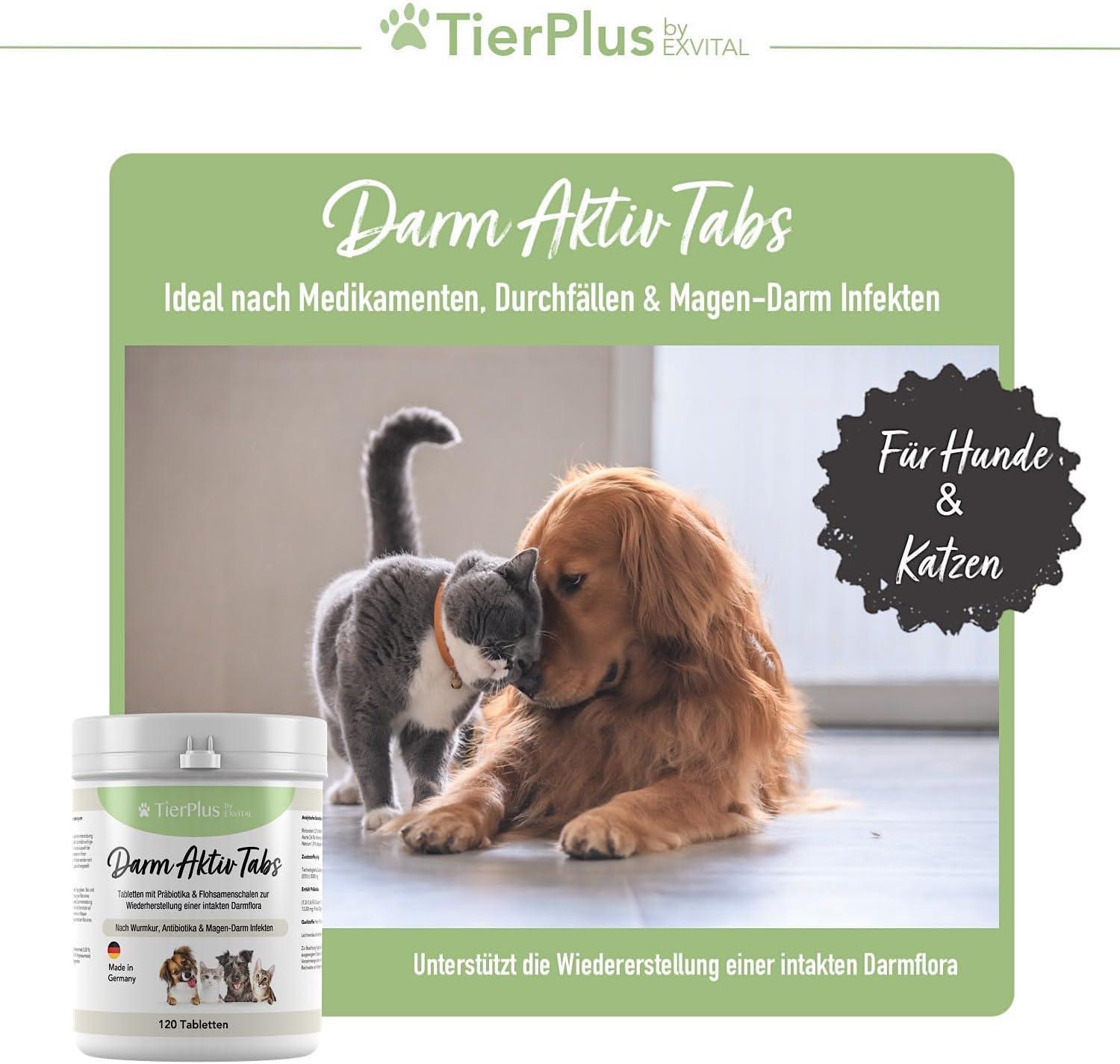 Exvital TierPlus Intestine Active Tablets for Dogs & Cats | Prebiotics ...