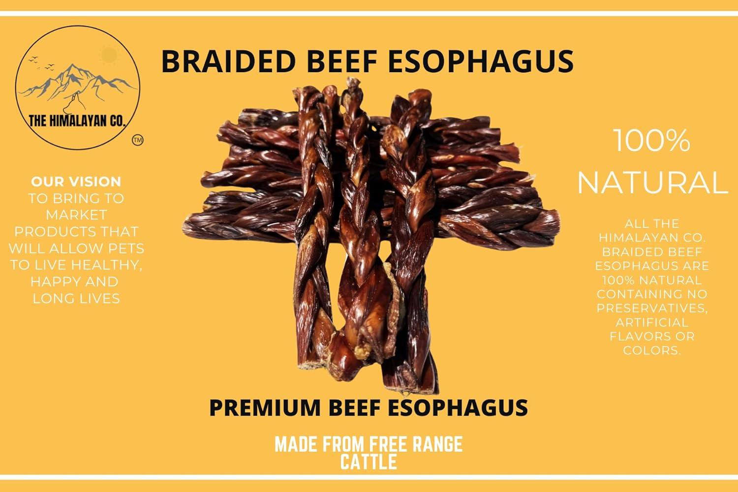 Beef Esophagus - Braided Beef Esophagus Dog CHEW Treats - (6 INCH 10 ...