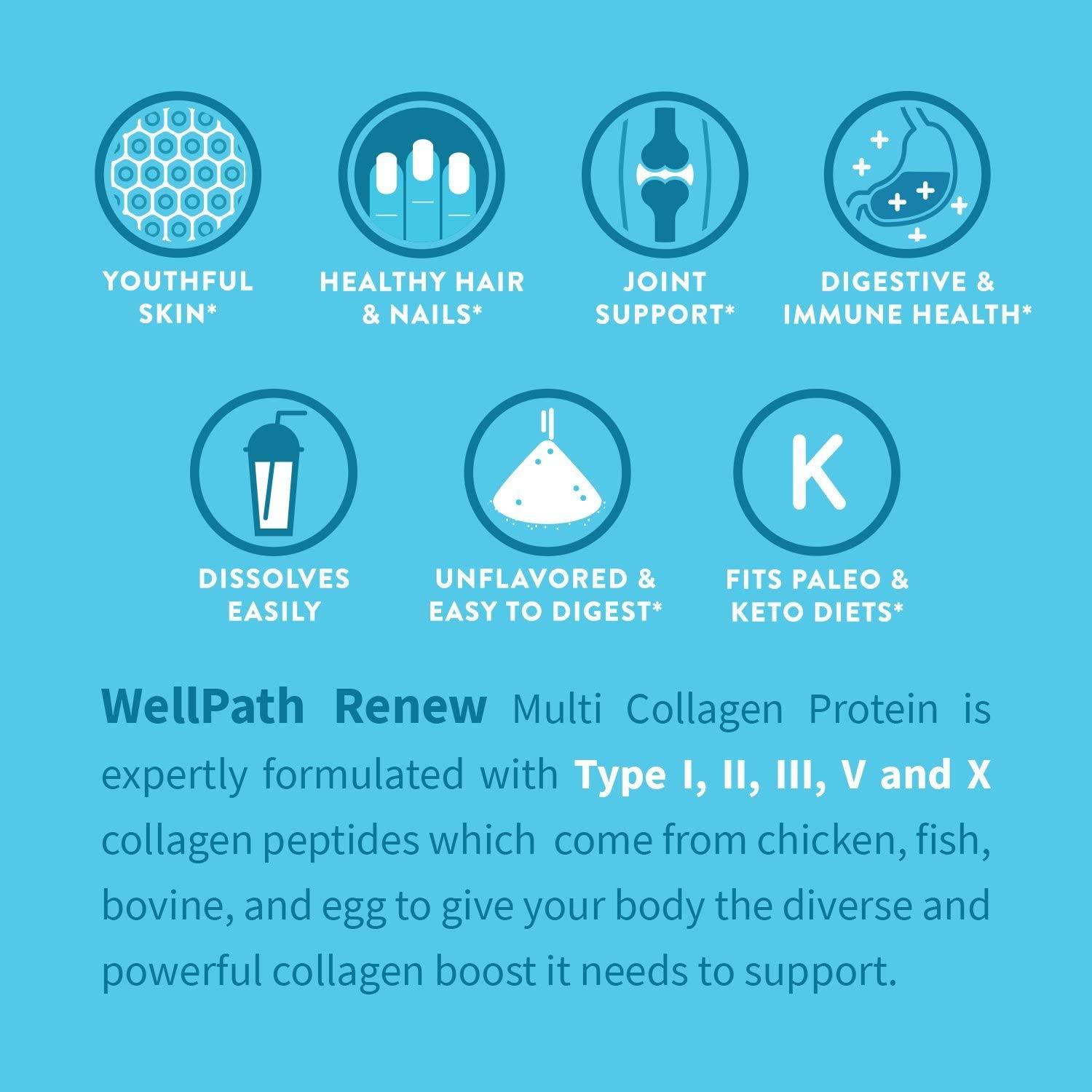Renew Multi Collagen Protein Powder - 5 Types of Collagen - Hydrolyzed ...