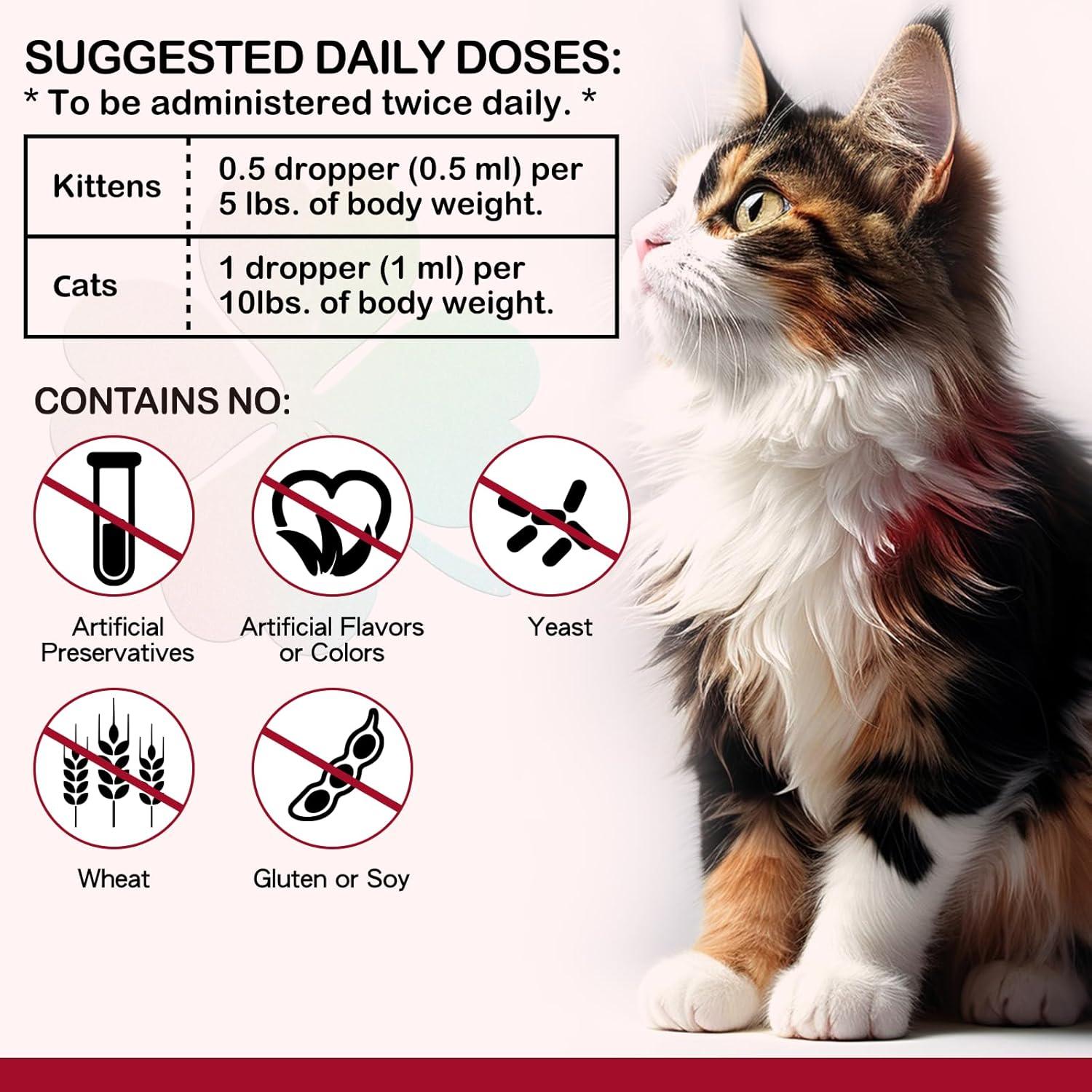 Iron Supplements for Cats 60ML Liquid Iron with Folate and B12 Supports ...