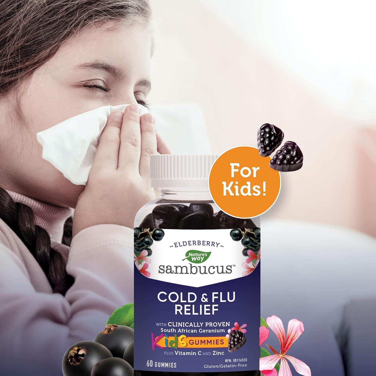 Nature's Way Sambucus Cold and Flu Relief Elderberry Gummies for Kids ...