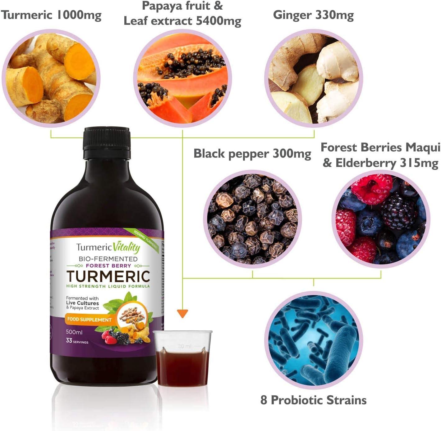 Fermented Turmeric Curcumin with Probiotics & Enzymes | High Strength ...