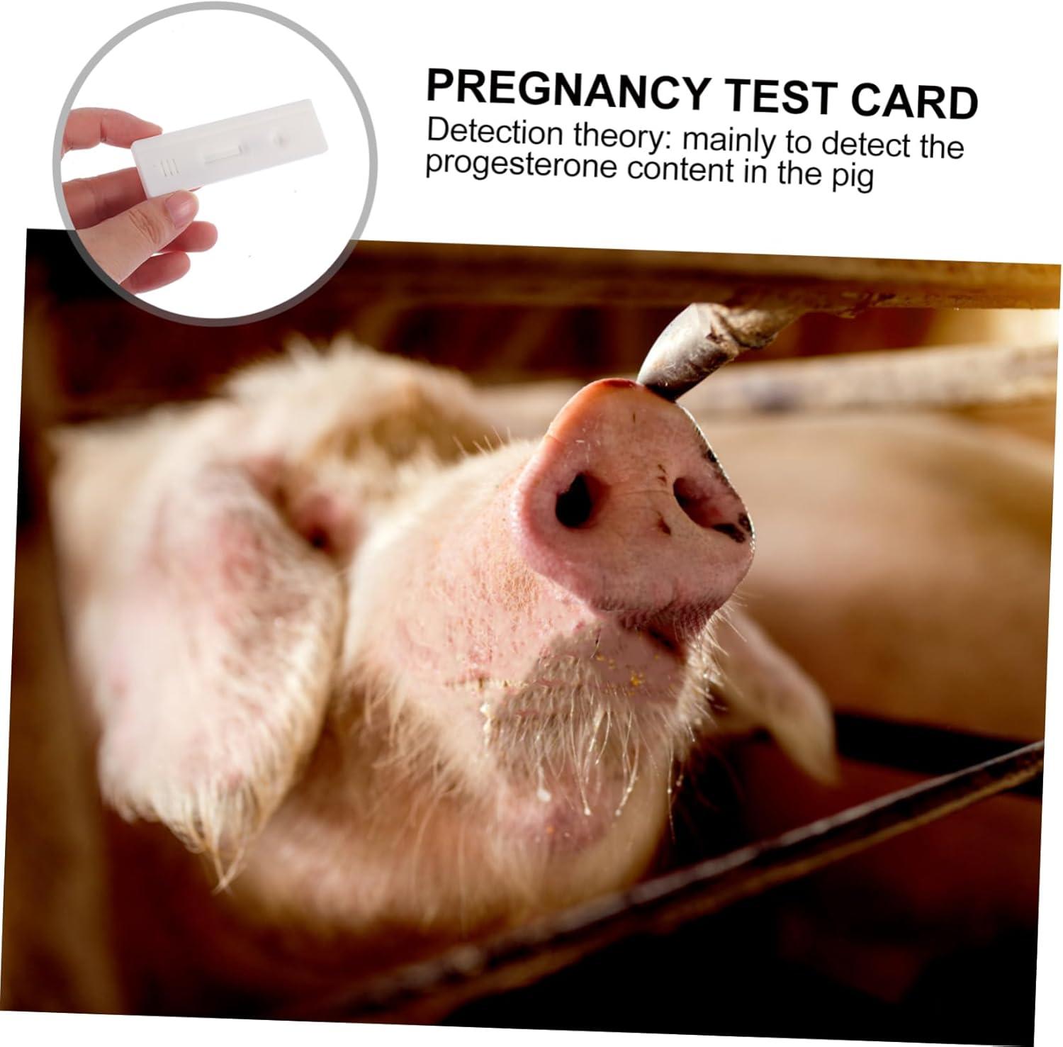 Buy Gatuida 2 Piece Pregnancy Test for Cattle | Vibrating Progesterone ...