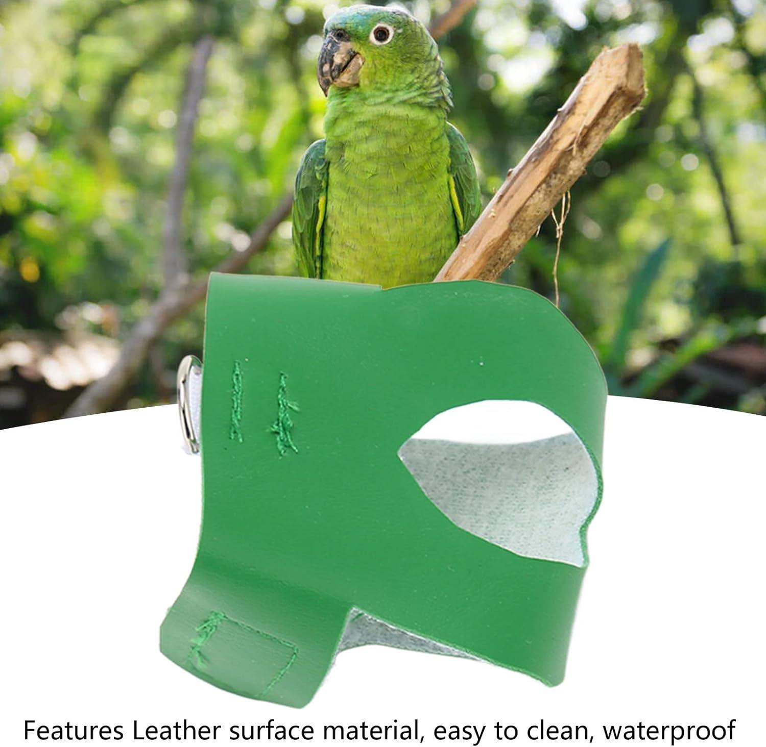 Bird Flight Harness Vest with Leash: Breathable Parrot Suit for ...