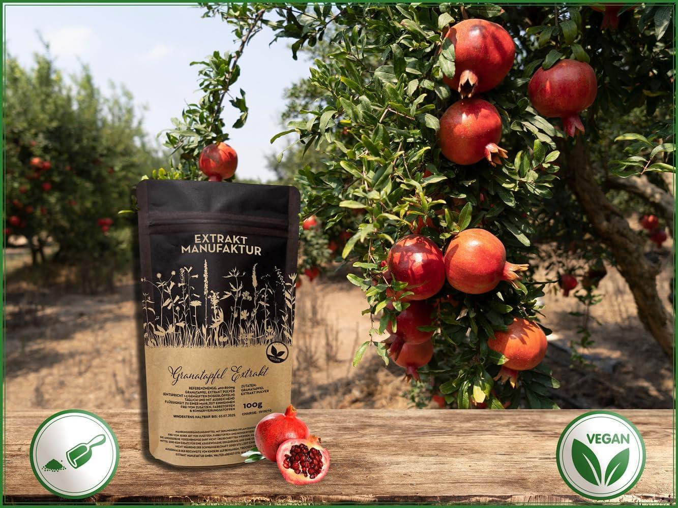 100g Pure Pomegranate Extract Powder - Additive-Free Punica Granatum ...