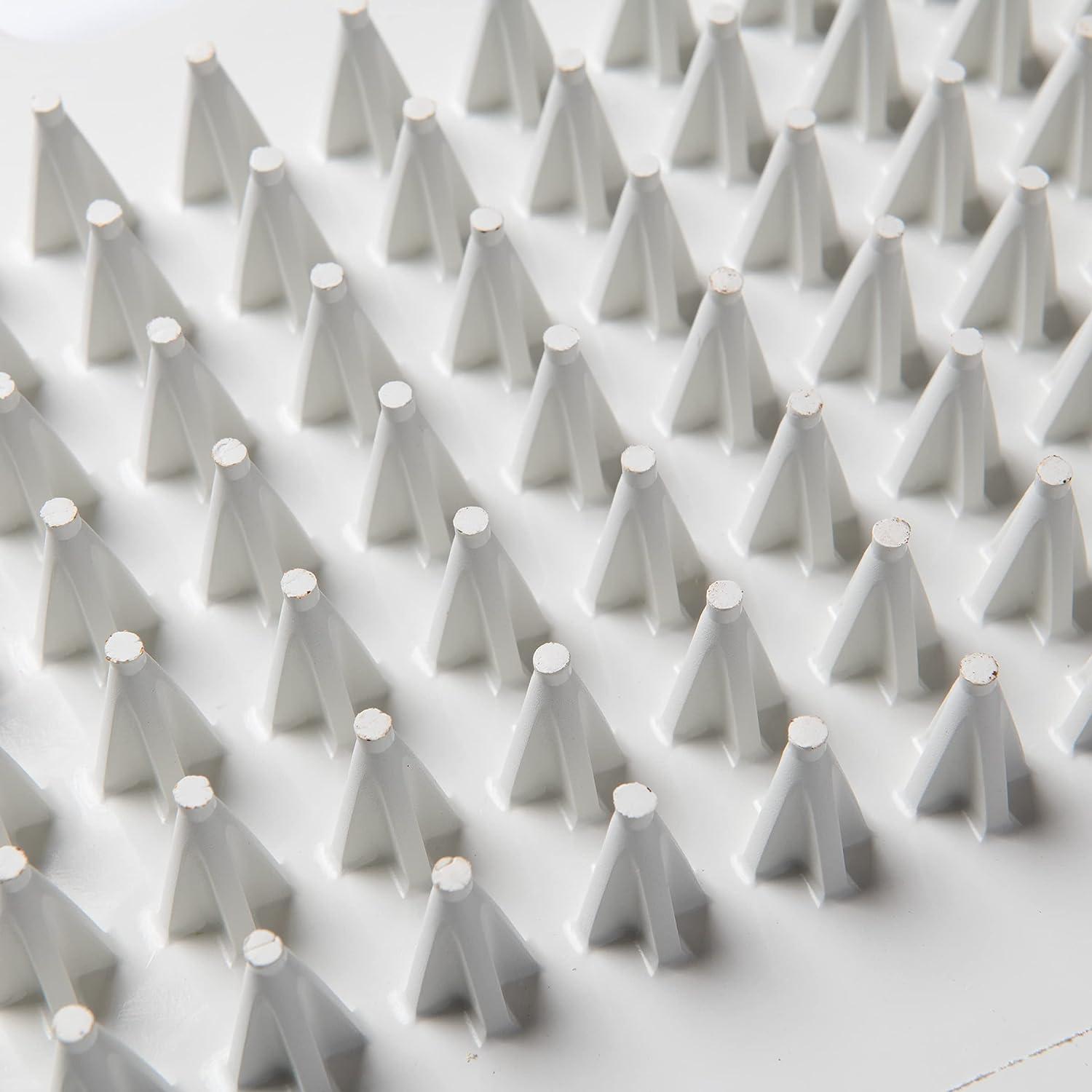 Champro Cleat Cleaner - White | Keep Your Cleats in Top Condition | Buy ...