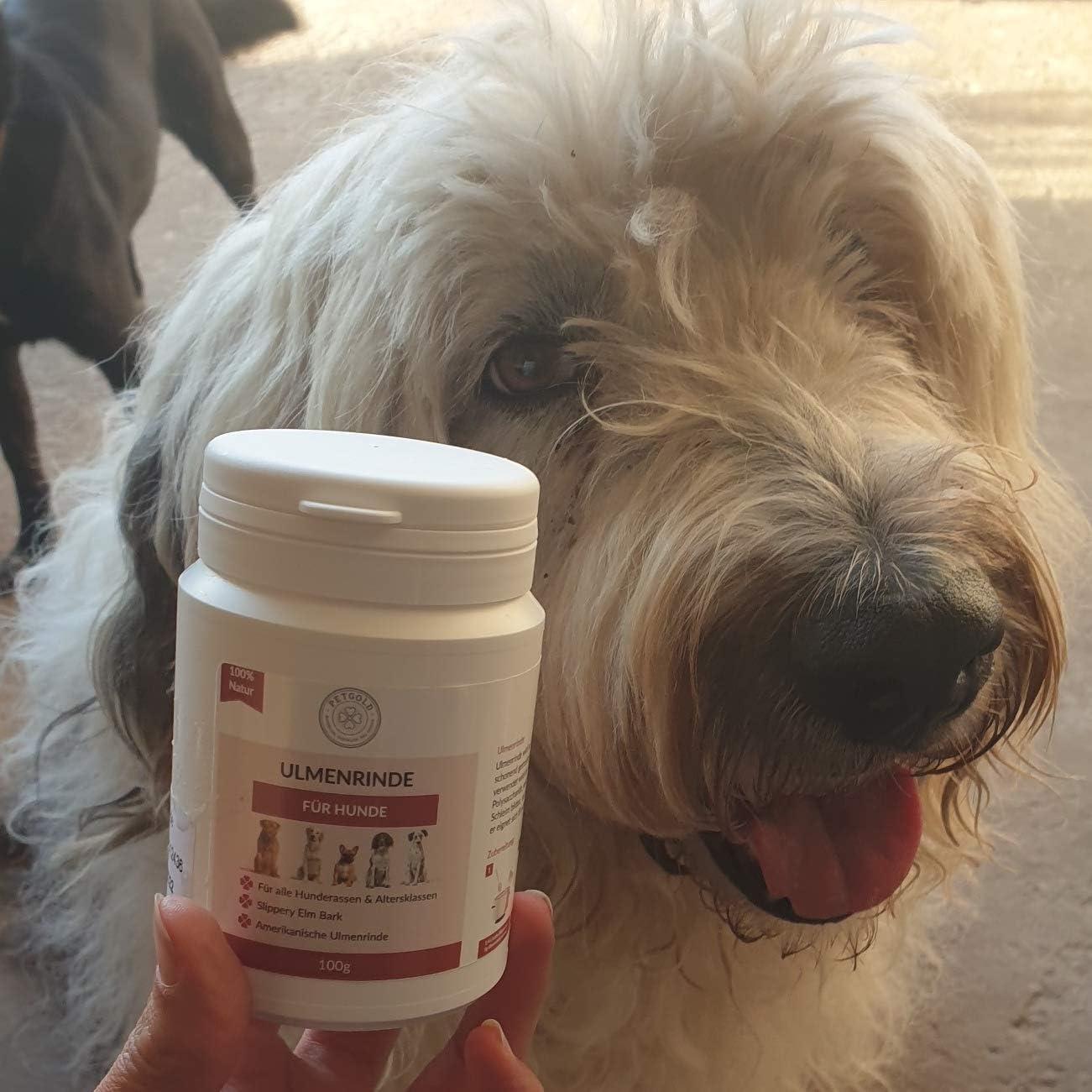 Premium Slippery Elm Bark for Dogs - Petgold 100g | Natural Dog Health ...