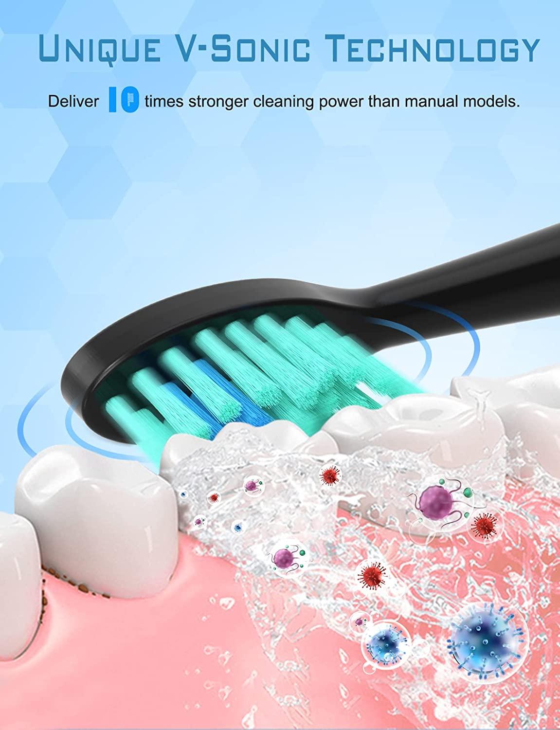 Sonic Electric Toothbrush with 8 Dupont Brush Heads | Rechargeable for ...