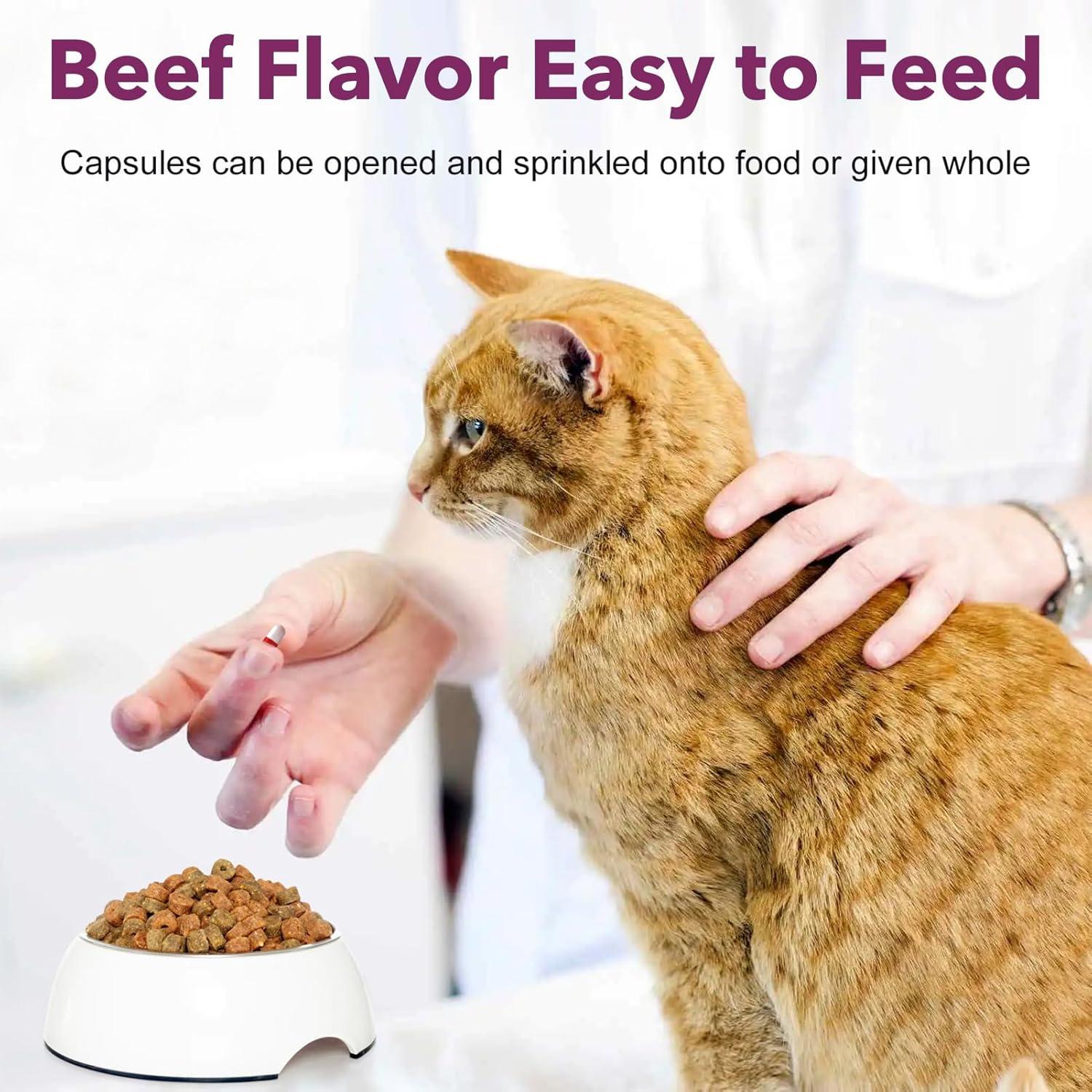 UT AID Plus for Cats & Dogs - Feline Idiopathic Cystitis & Urinary ...